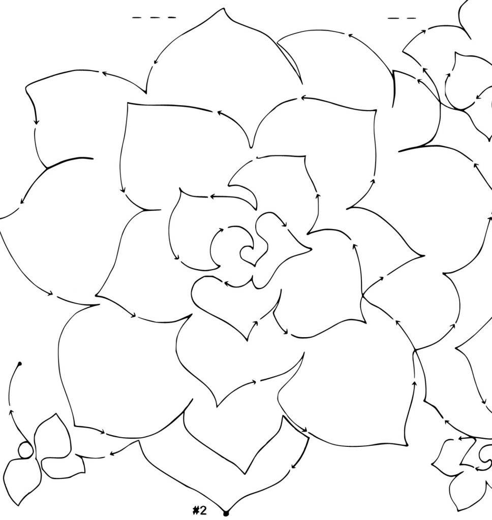 Desert Rose – MeadowLyon Designs